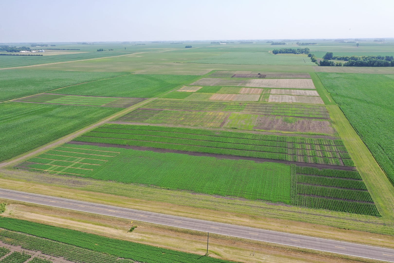 2023 Soybean Value-Added Product Impact on Yield - NextGen Ag