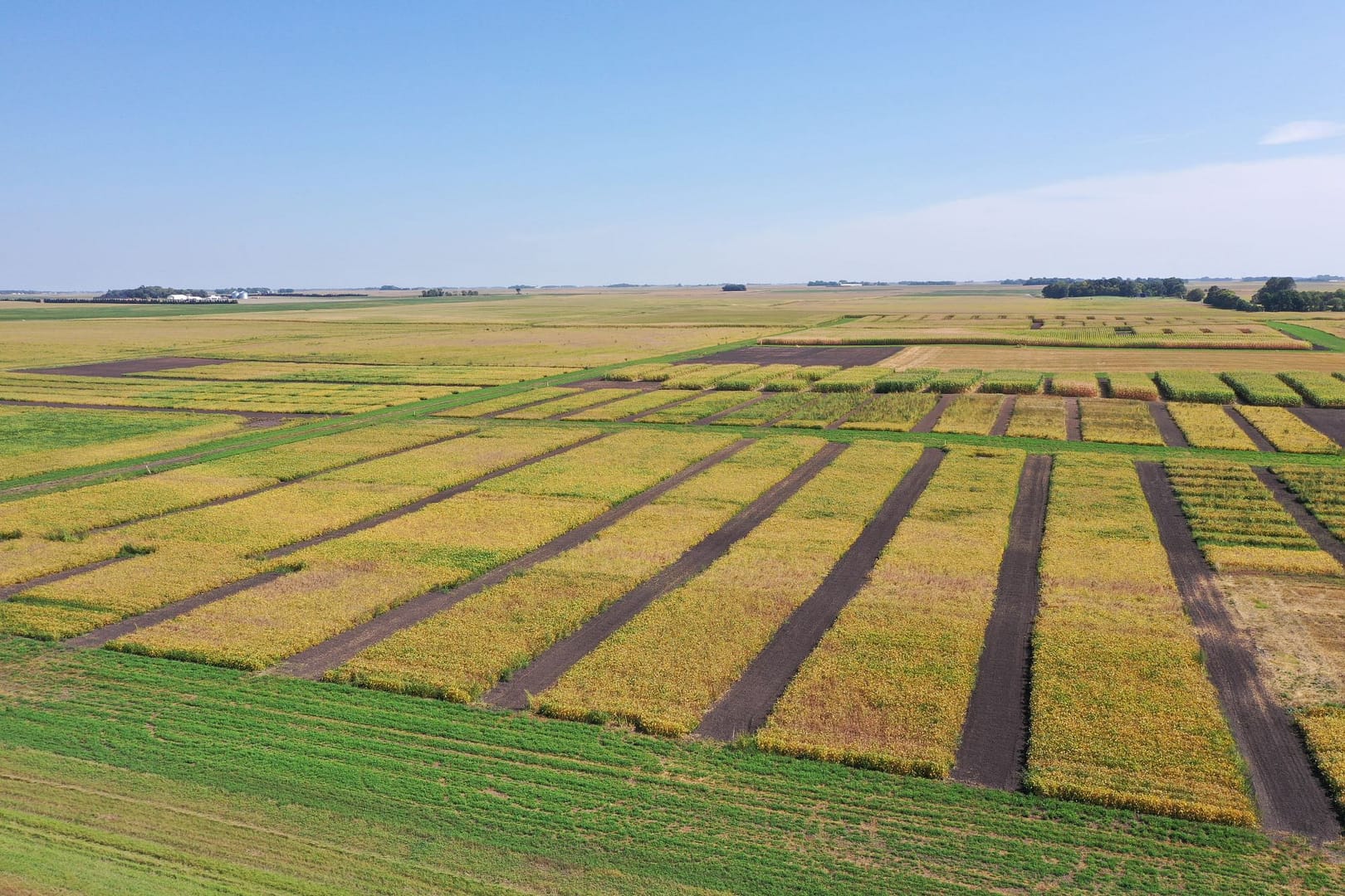 2024 Soybean Value-Added Product Impact on Yield - NextGen Ag